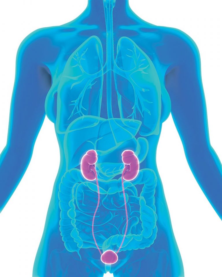 RINICHII - Formula AS