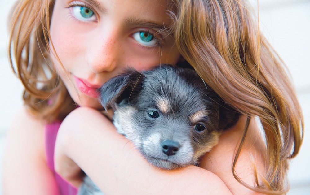 Poveste de dragoste cu un cățel: Mira - Formula AS