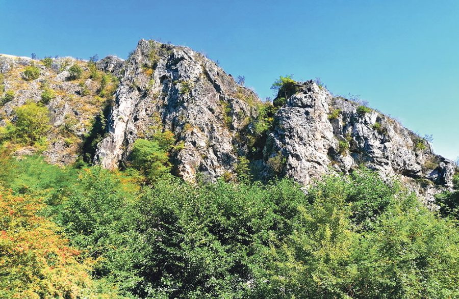 Povestiri de pe Valea Nandrului - Formula AS