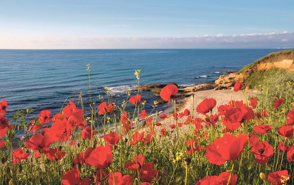 ANCHETĂ: Unde stăm la soare în vara asta? - Formula AS