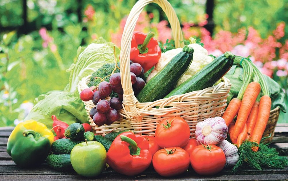 Dr. CRISTINA PAVEL (medic specialist medicină de familie, cu competență ...