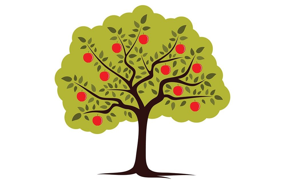 Merele cântătoare - Formula AS