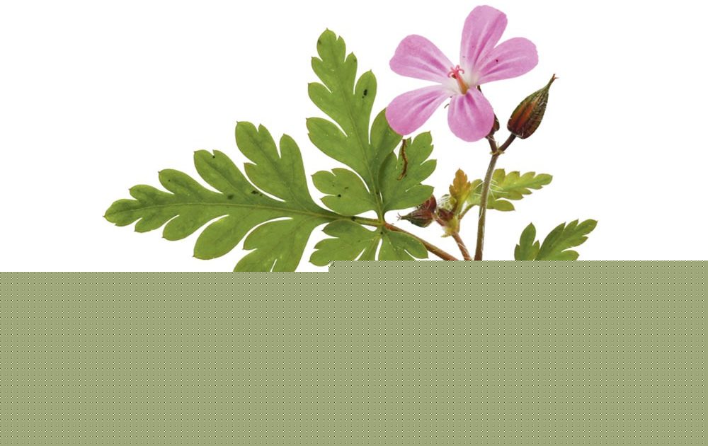 "Am tumoră pe colul uterin, penetrată în vagin" (Răspuns pentru AURICA ...