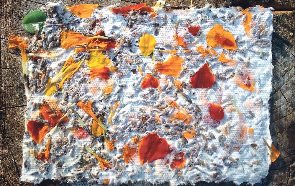 Răzvan Supuran și hârtia din care cresc flori - Formula AS