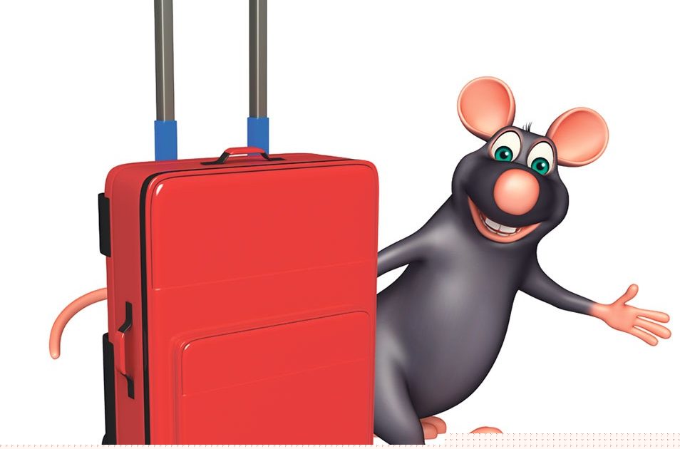 Invazie de insecte, șoareci și crustacee - Formula AS