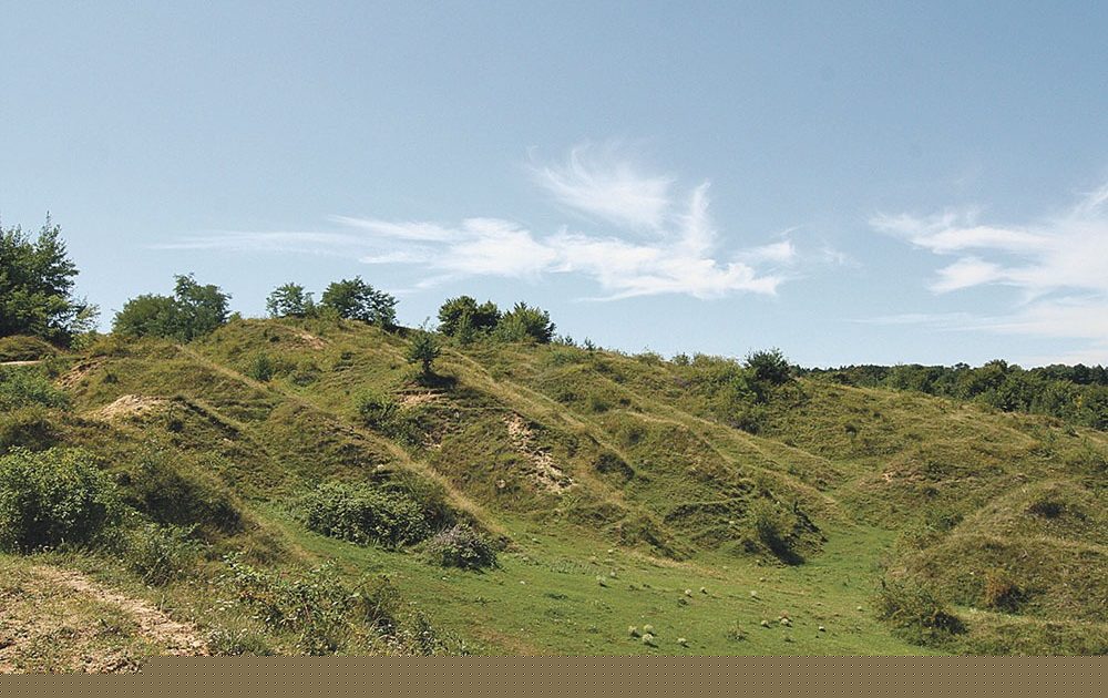 Câmpul cu solzi de aur - Formula AS