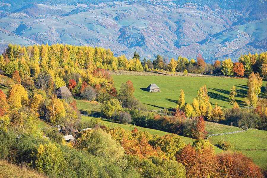 Fata popii și contele - Formula AS