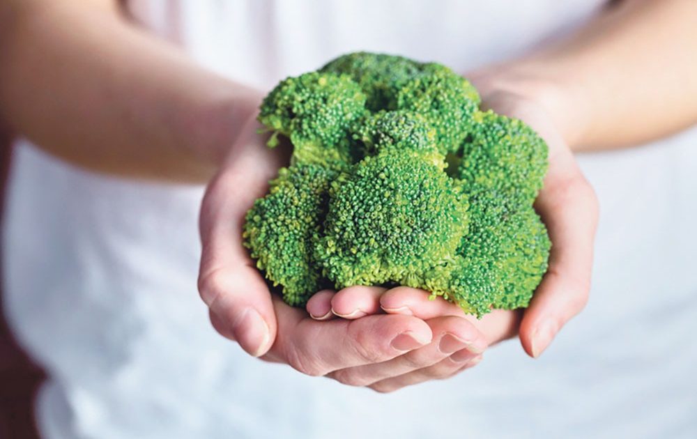 15 alimente anti-microbi - Formula AS